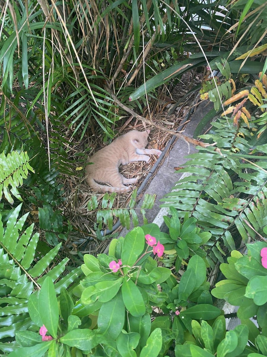 14 Unusual Reasons to Visit the Florida Keys