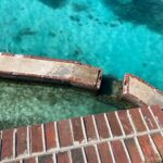 14 Unusual Reasons to Visit the Florida Keys