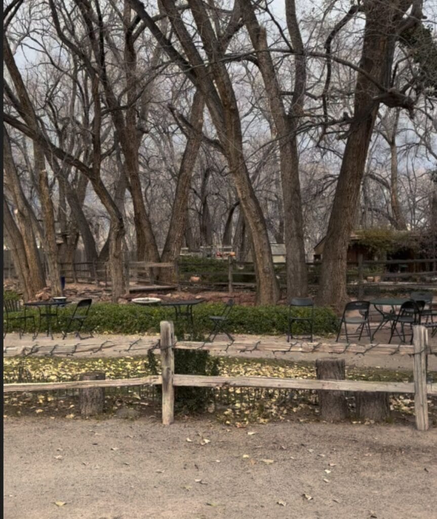 15 Actually Fun Things to Do Alone in Albuquerque